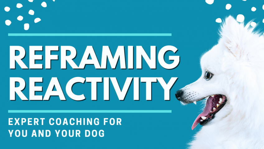 Reframing Reactivity